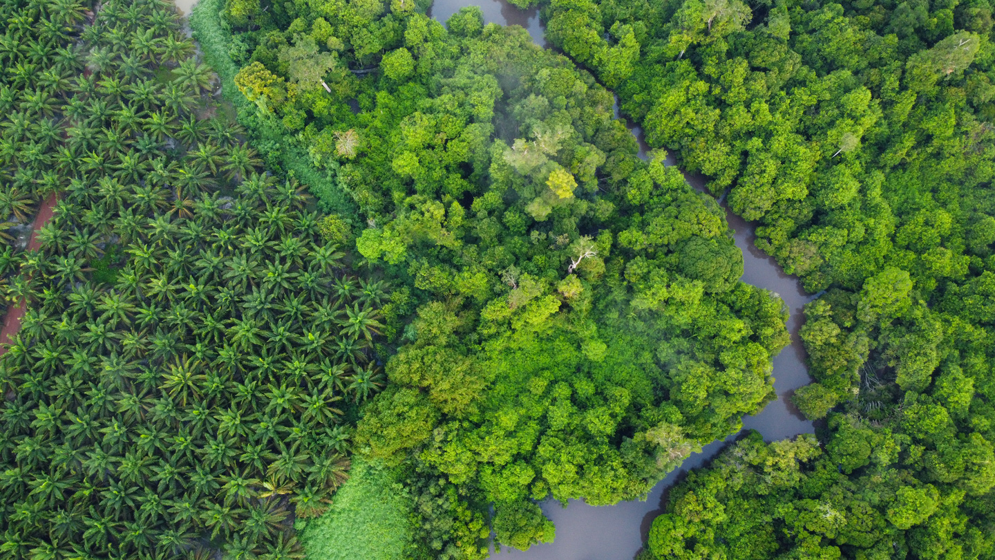 Sustainability - Bumitama Agri Ltd.