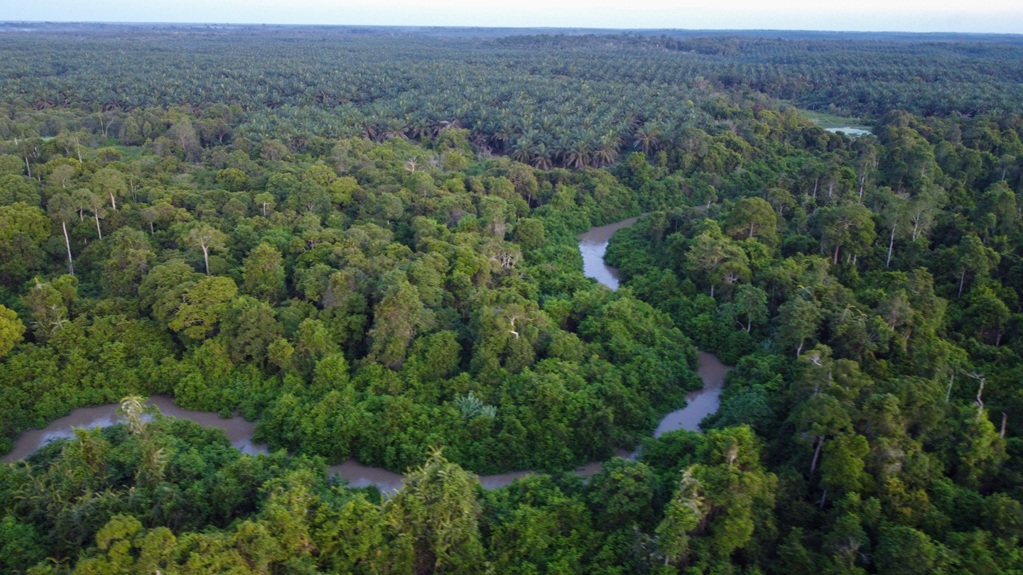 Environment - Bumitama Agri Ltd.