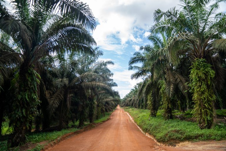 About Us - Bumitama Agri Ltd.