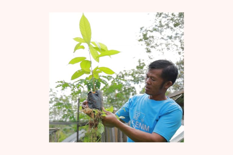 Home - Bumitama Agri Ltd.