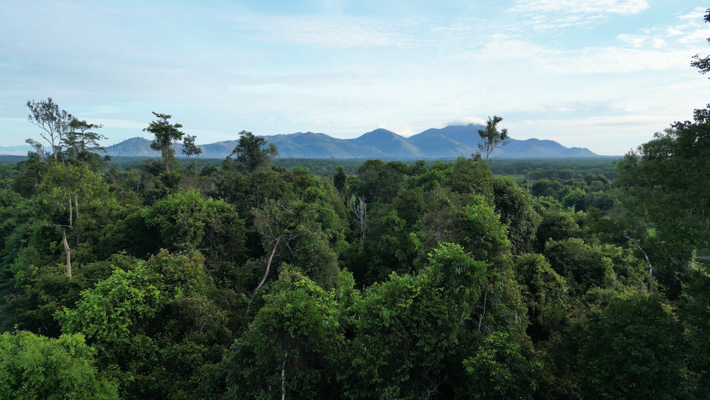 Home - Bumitama Agri Ltd.