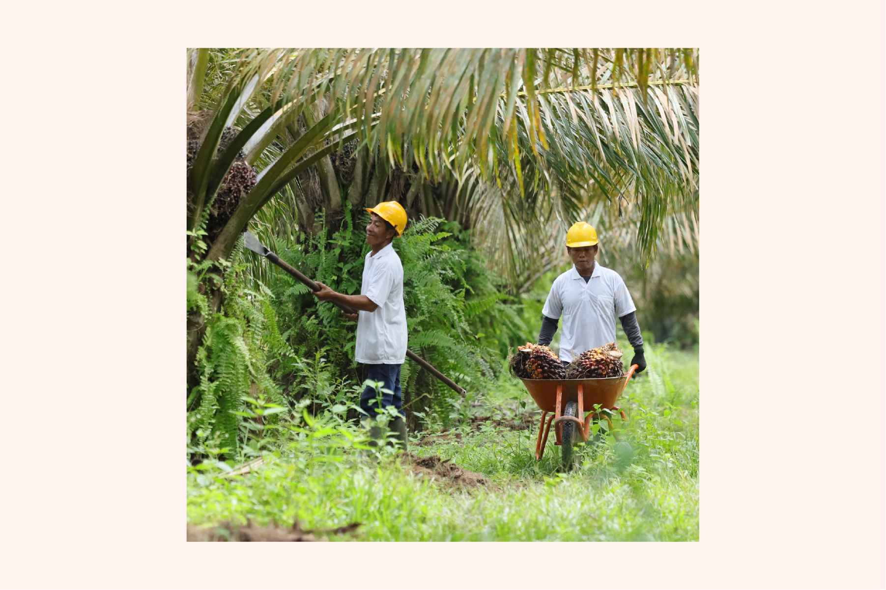 Home - Bumitama Agri Ltd.