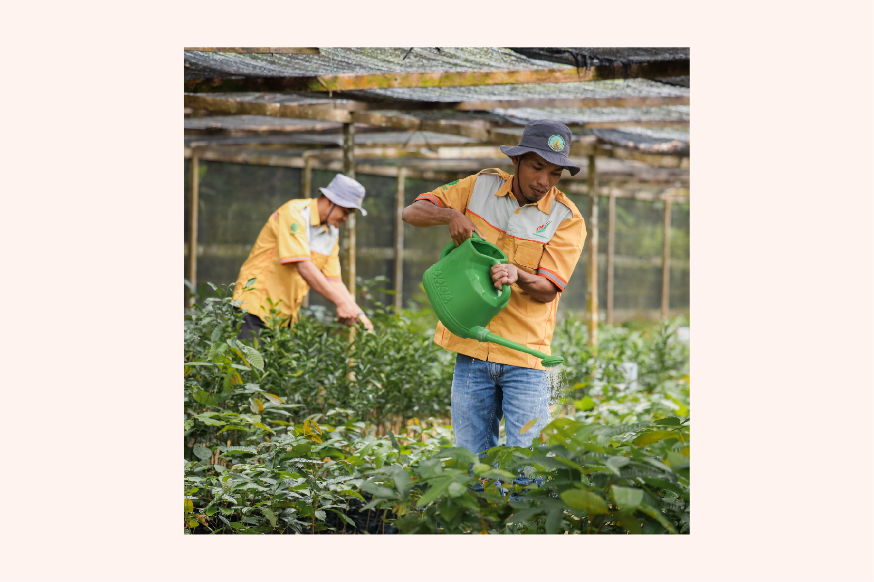 Home - Bumitama Agri Ltd.